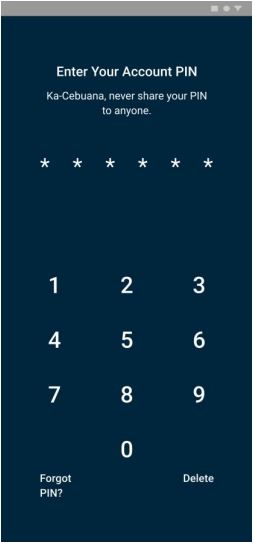 Registration and Log in Process – Cebuana Lhuillier
