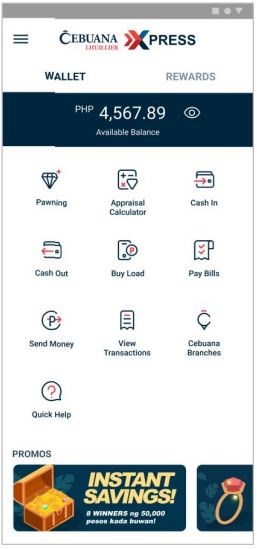 Registration and Log in Process – Cebuana Lhuillier